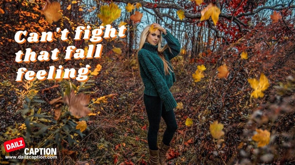 377+ Best Fall Captions | Autumn Captions - Dailz Caption